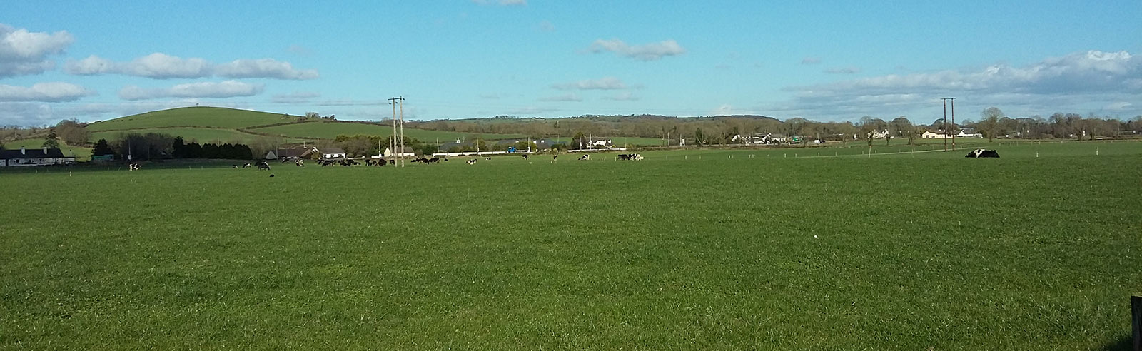 Targeted agricultural Measures Scheme | ICMSA | Family Farm Organisation focusing on Solutions.