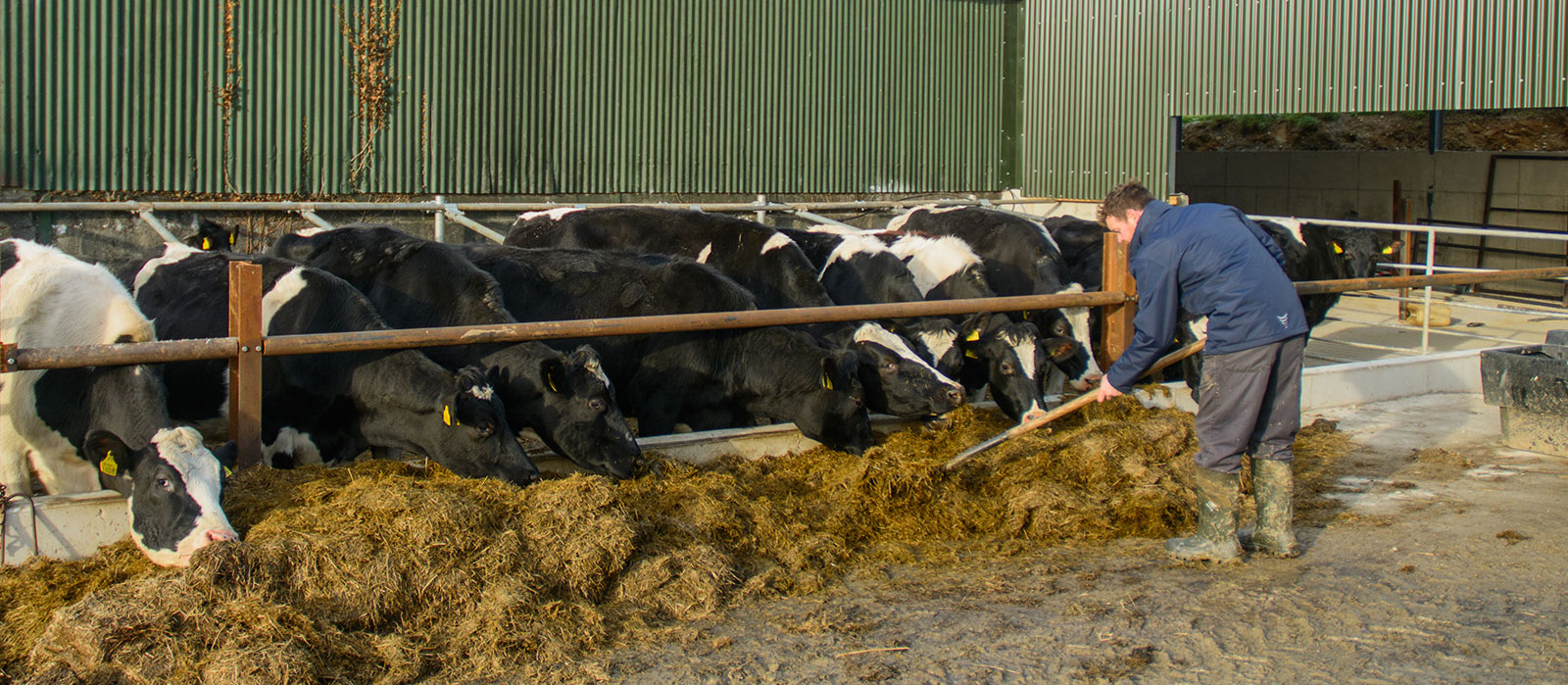 Johnes | ICMSA | Family Farm Organisation focusing on Solutions.