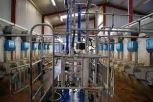 TAMS | ICMSA | Family Farm Organisation focusing on Solutions.