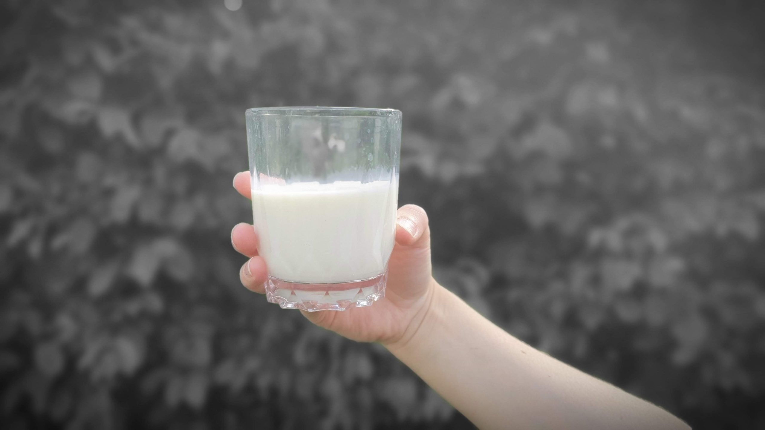 Importance of milk one of the nine ‘main messages’ from National ...