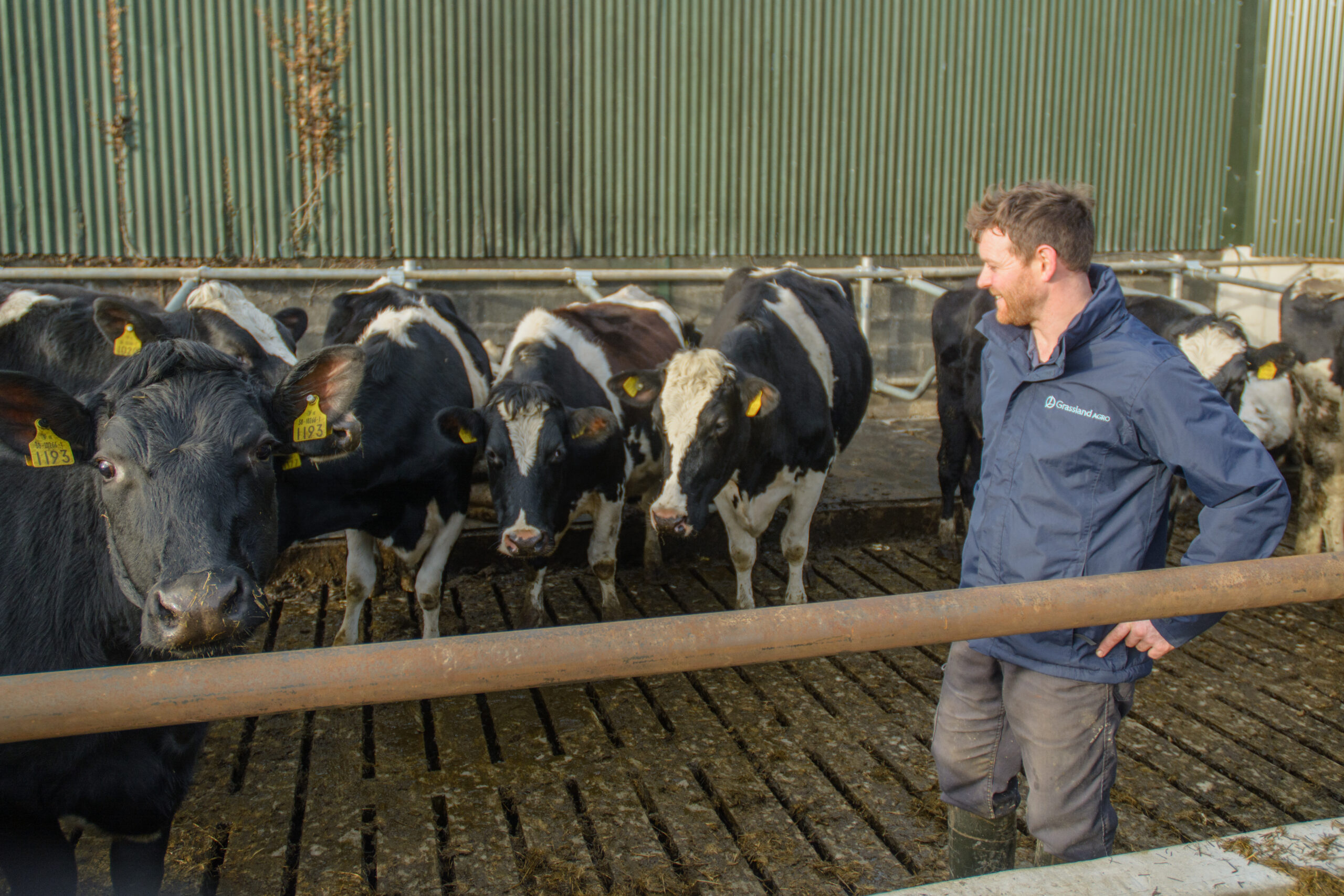 Temporary Business Energy Support Scheme (TBESS) – Farmers alerted that ...